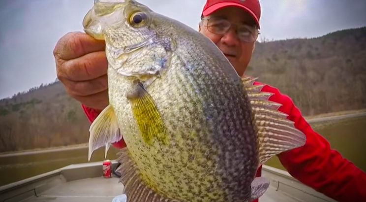 Catching Monster Crappie in Muddy Water | my724outdoors.com