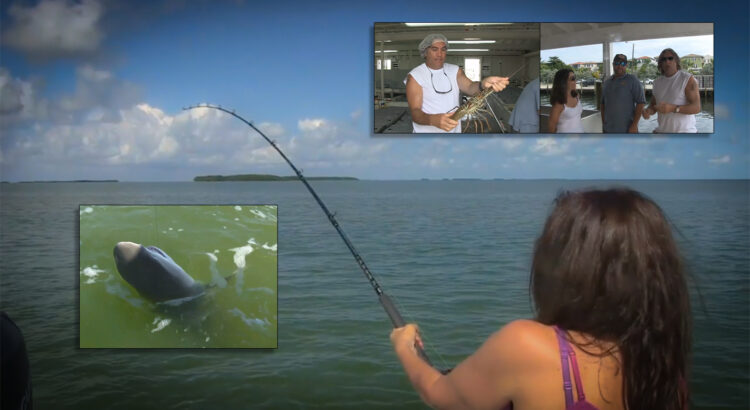 Informative Tour of Key Fisheries and Exciting Shark fishing in the ...