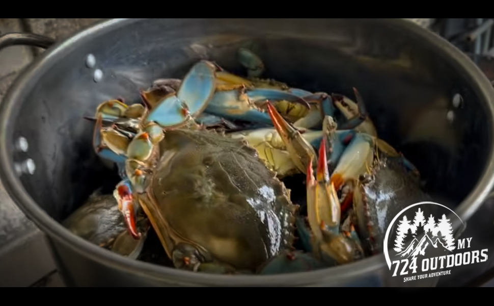 We Caught GIANT BLUE CRABS For a Delicious Recipe | my724outdoors.com